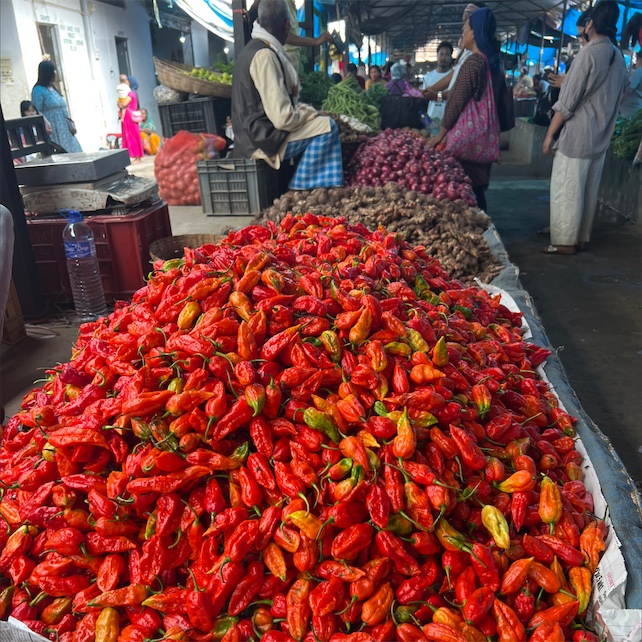 Bosc Pears Information, Recipes and Facts